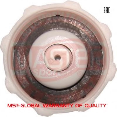 21430AX300,NISSA 21430-AX300 Cap, radiator for NISSA