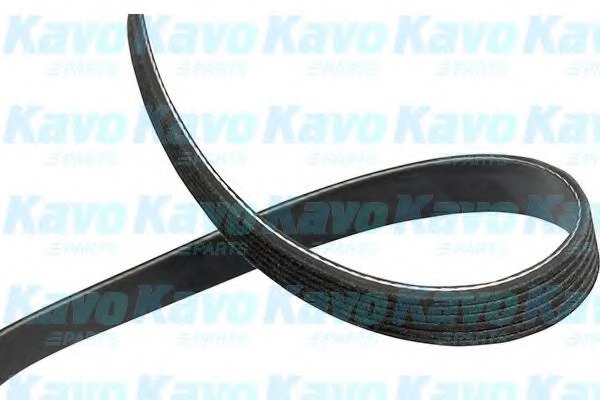 2521227000,KIA 2521227000 V-Ribbed Belts for KIA
