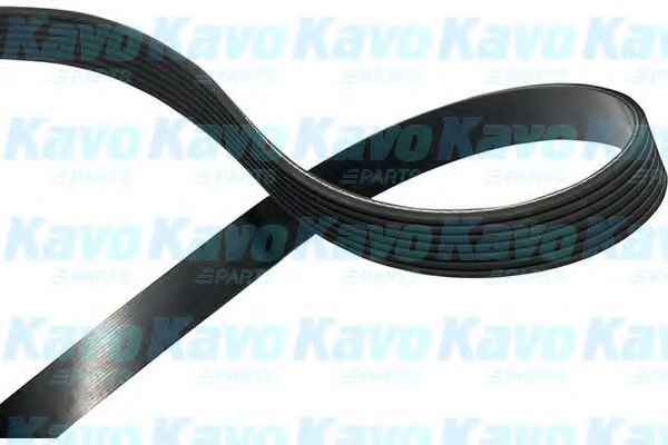 117201KT0A,NISSA 117201KT0A V-Ribbed Belts for NISSA