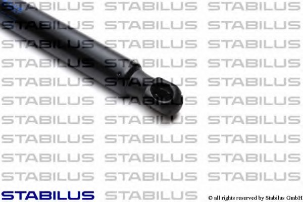 51247288721,BMW 51247288721 Gas Spring, boot-/cargo area for BMW