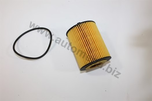 0650307,VAUXH 0650307 Oil Filter for VAUXH