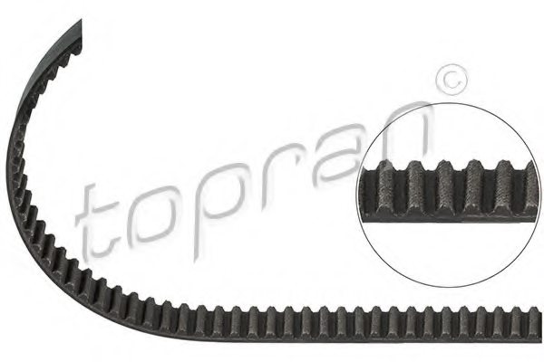 030109119S,VW 030109119S Timing Belt for VW