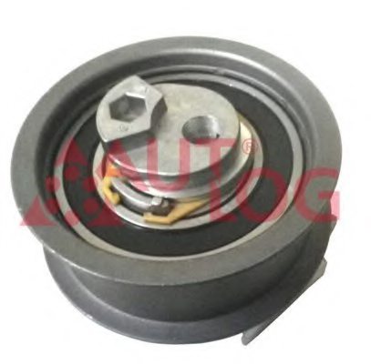 06D109243B,AUDI 06D109243B Tensioner Pulley, timing belt for AUDI