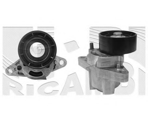 7700102872,RENAU 7700102872 Tensioner Lever, v-ribbed belt for RENAU