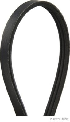 1195067S01,NISSA 1195067S01 V-Ribbed Belts for NISSA