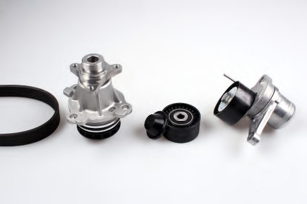 210102433R,RENAU 210102433R Water Pump for RENAU