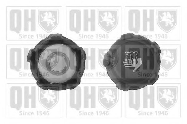 21430AX300,NISSA 21430-AX300 Cap, radiator for NISSA