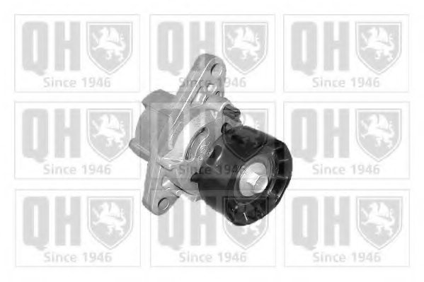 7700102872,RENAU 7700102872 Tensioner Lever, v-ribbed belt for RENAU