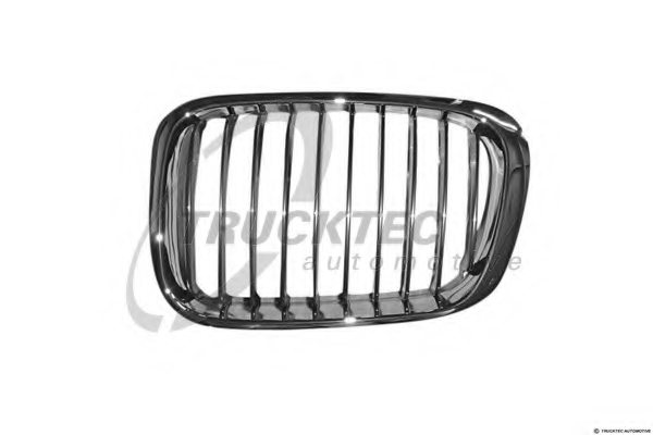 51138208487,BMW 51138208487 Radiator Grille for BMW