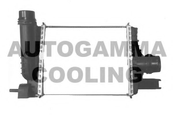 144961381R,DACIA 144961381R Intercooler, charger for DACIA