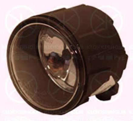 261508992B,NISSA 261508992B Fog Light for NISSA