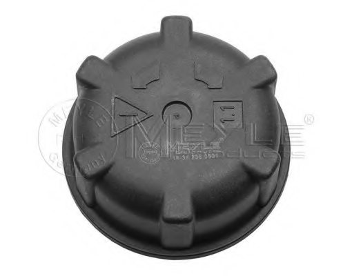 1743703,DAF 1743703 Cap, radiator for DAF