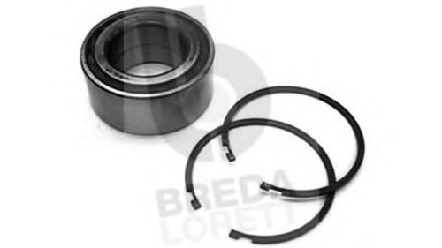 4021030R01,NISSA 40210-30R01 Wheel Bearing Kit for NISSA