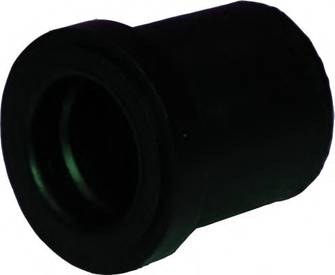 5504601G00,NISSAN 5504601G00 Leaf Spring Bushing for NISSAN