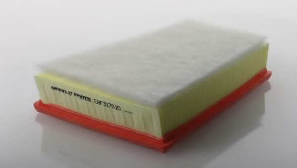 165462862R,RENAU 165462862R Air Filter for RENAU