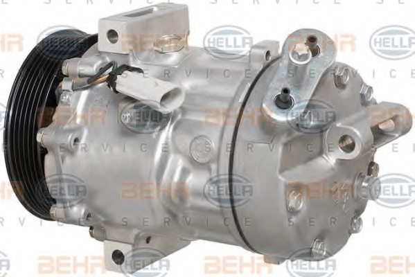 1073,SANDEN 1073 Compressor, air conditioning for FIAT,HOLDEN,OPEL,SAAB ...