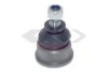 Ball Joint - Suspension auto parts - Niparts.com